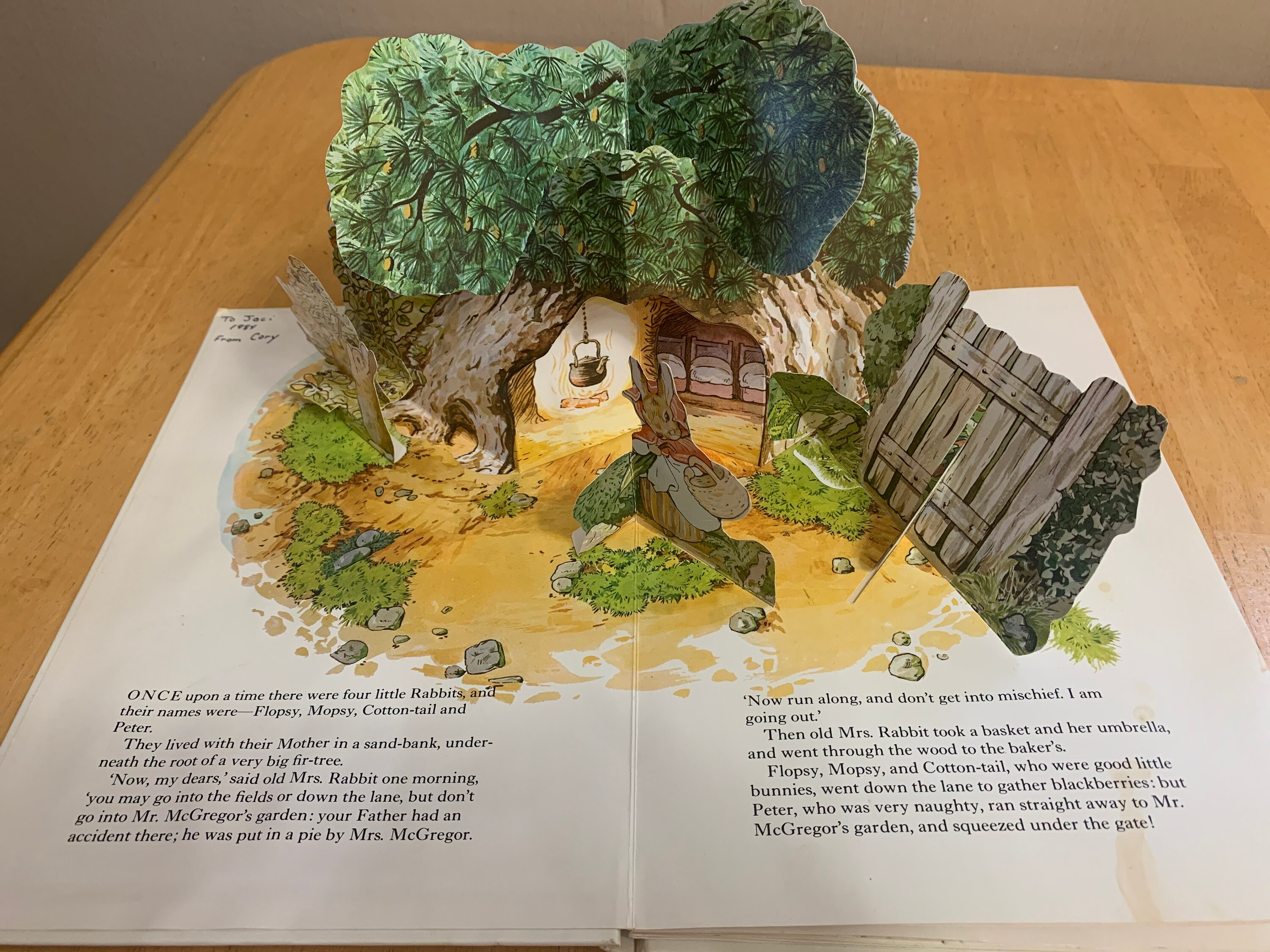 The Peter Rabbit Pop-up Book, Beatrix Potter, Children's Book - Etsy