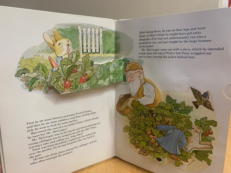 The Peter Rabbit Pop-up Book, Beatrix Potter, Children's Book - Etsy