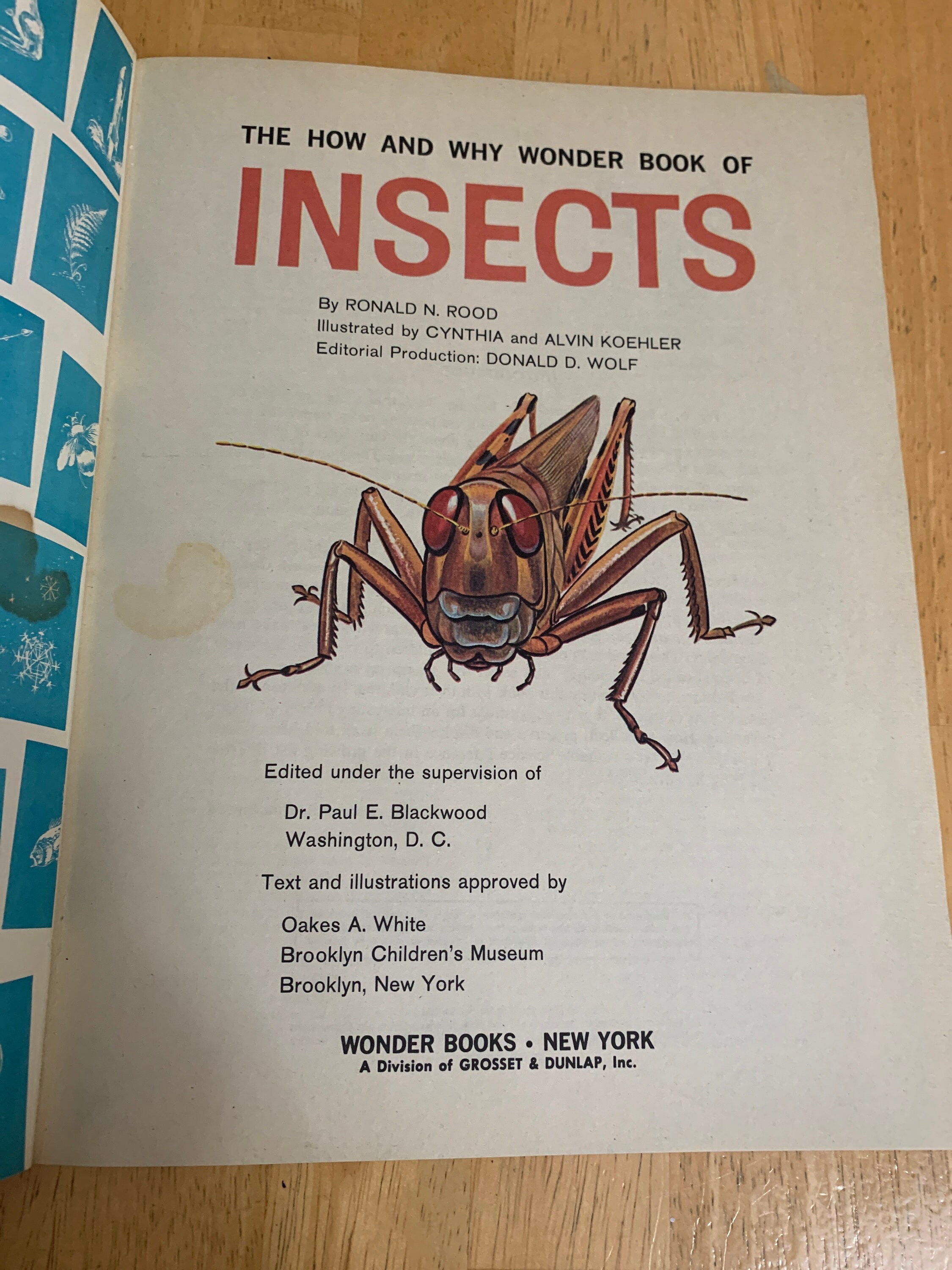 Insects, How and Why Wonder Book, Vintage Book, Ronald N Rood - Etsy