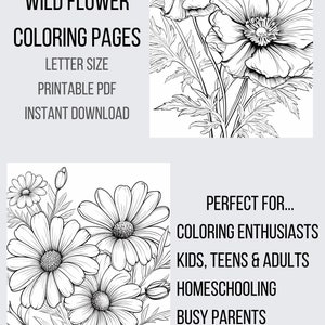24 Wild Flower Coloring Pages Coloring Page Flower Adult Coloring Pages ...