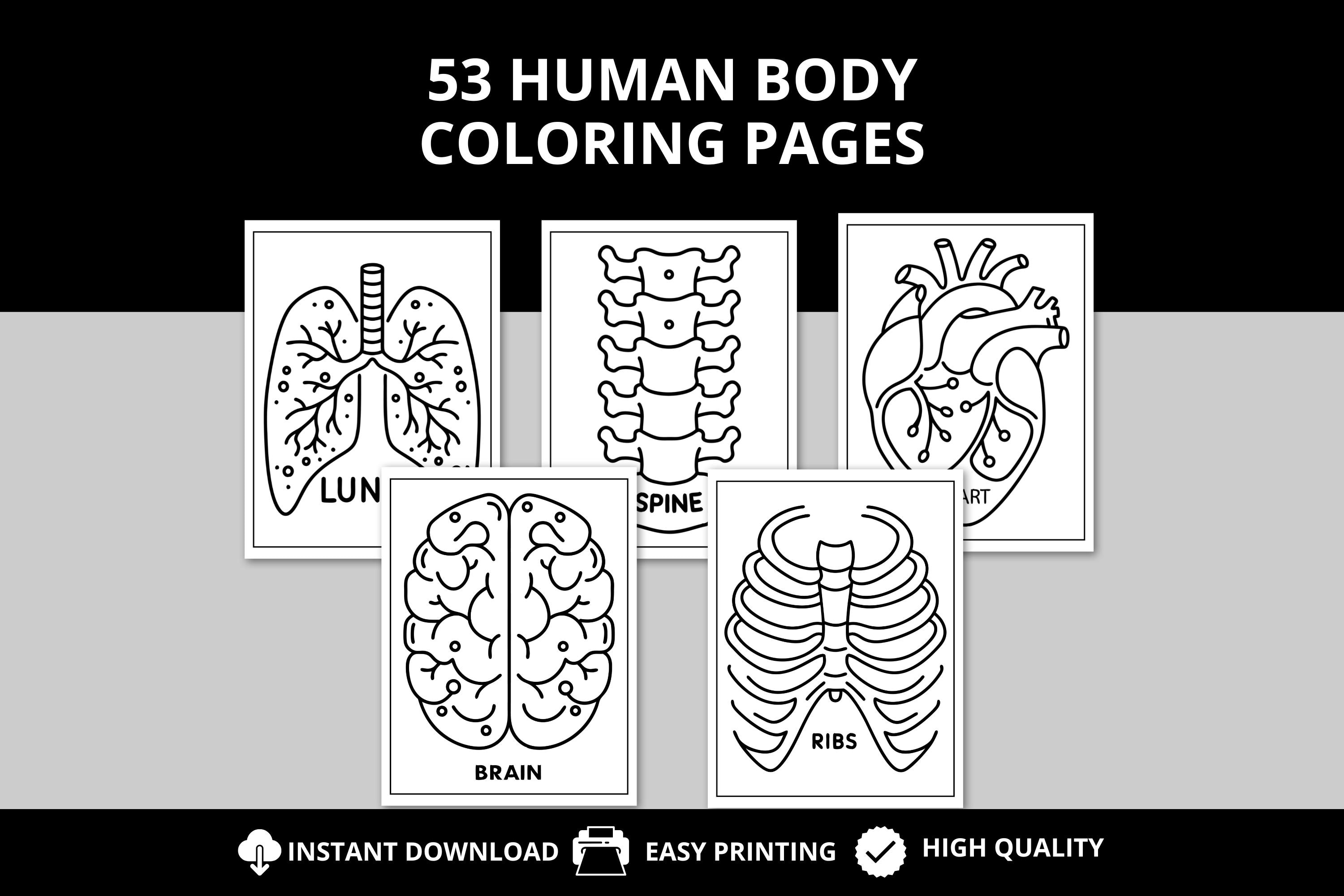 53 Human Body Coloring Pages Human Anatomy Coloring Pages Kids Anatomy ...