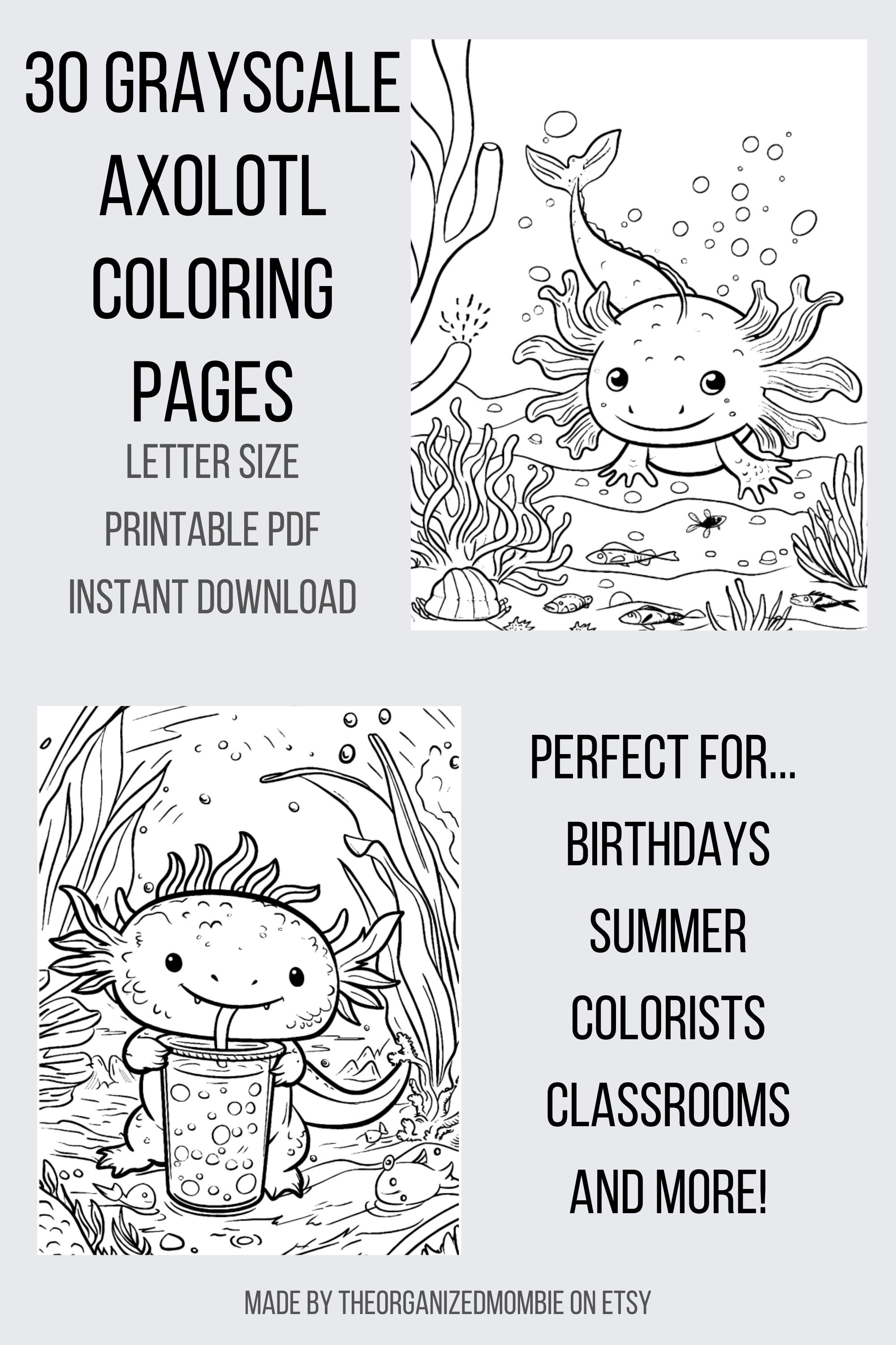 Axolotl Coloring Page Printable Instant Download Cute Axolotl Pages Kid ...