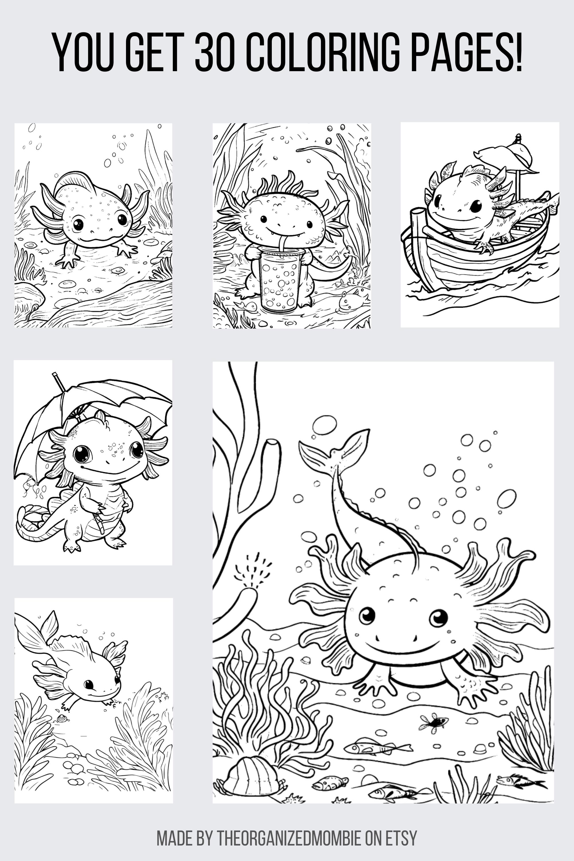 Axolotl Coloring Page Printable Instant Download Cute Axolotl Pages Kid ...