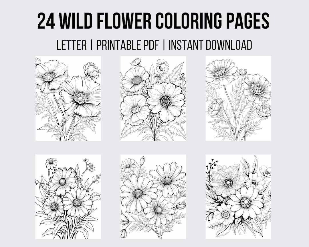 24 Wild Flower Coloring Pages Coloring Page Flower Adult Coloring Pages ...