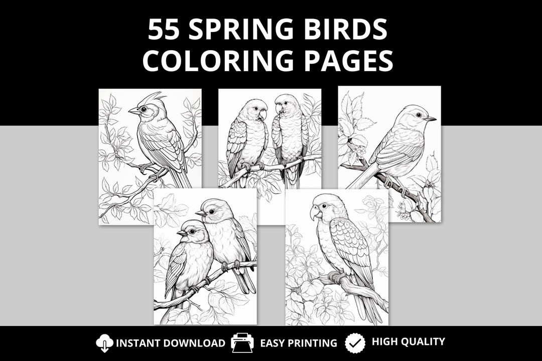 55 Bird Coloring Pages Instant Download Cute Birds Coloring Book ...