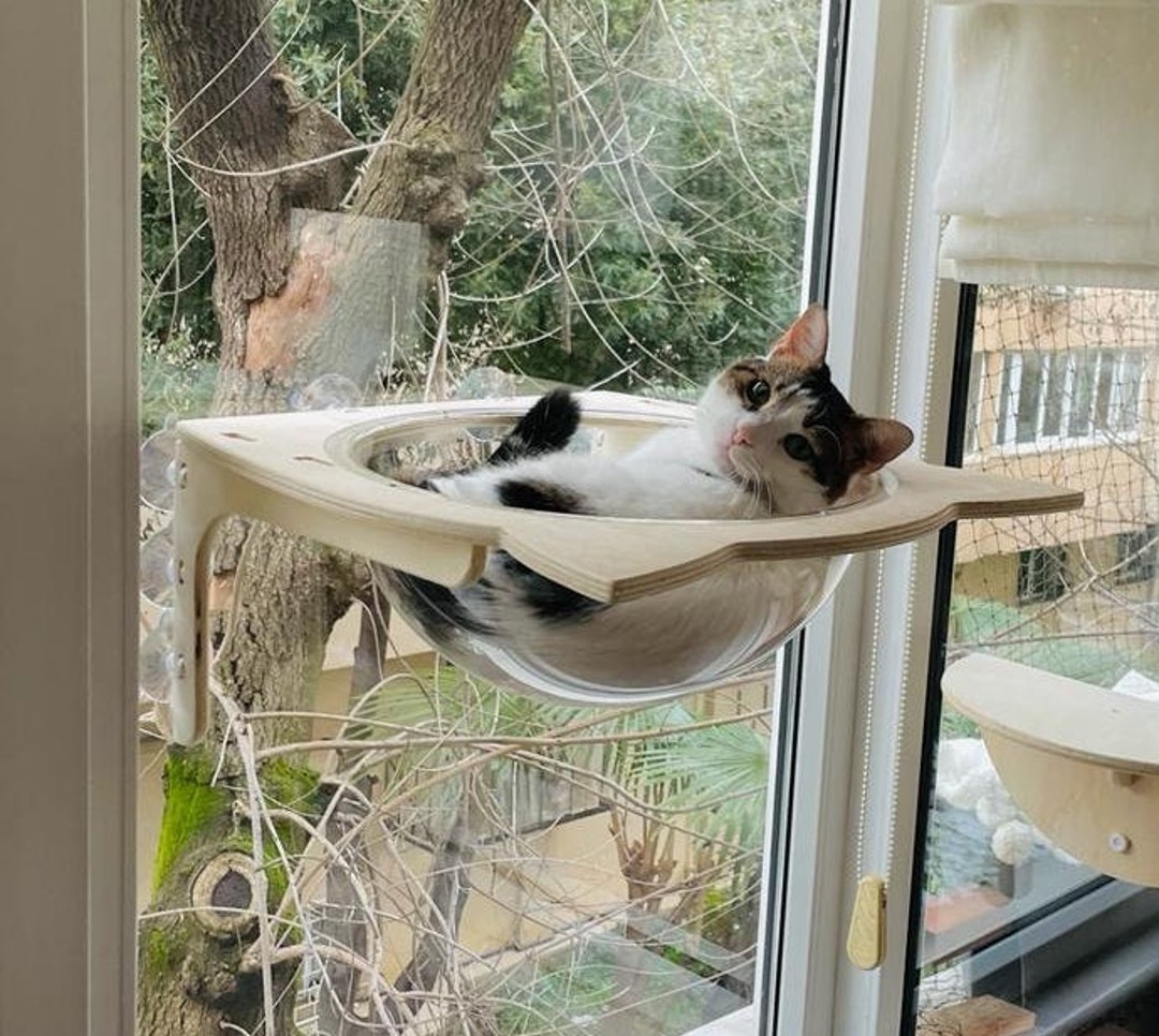 Cat Bed Window, Cat Hammock, Cat Furniture, Cat Bowl - Etsy