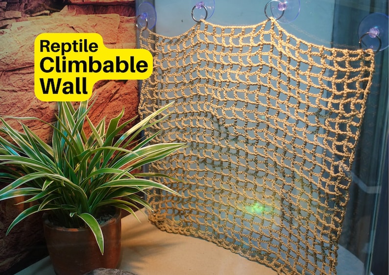 Reptile Climbable Wall Climbing Wall for Reptiles Reptile - Etsy