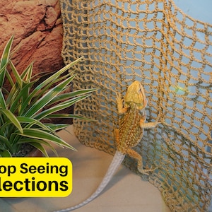 Reptile Climbable Wall | Climbing Wall for Reptiles | Reptile Climbable ...