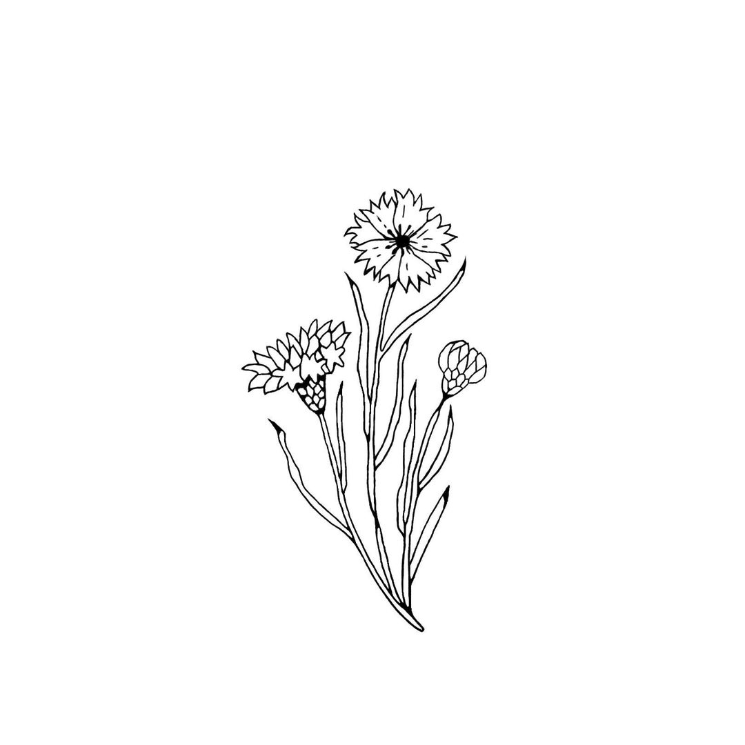 Beautiful Flower Digital Picture. for Picture Frames, Tattoos, Phone ...