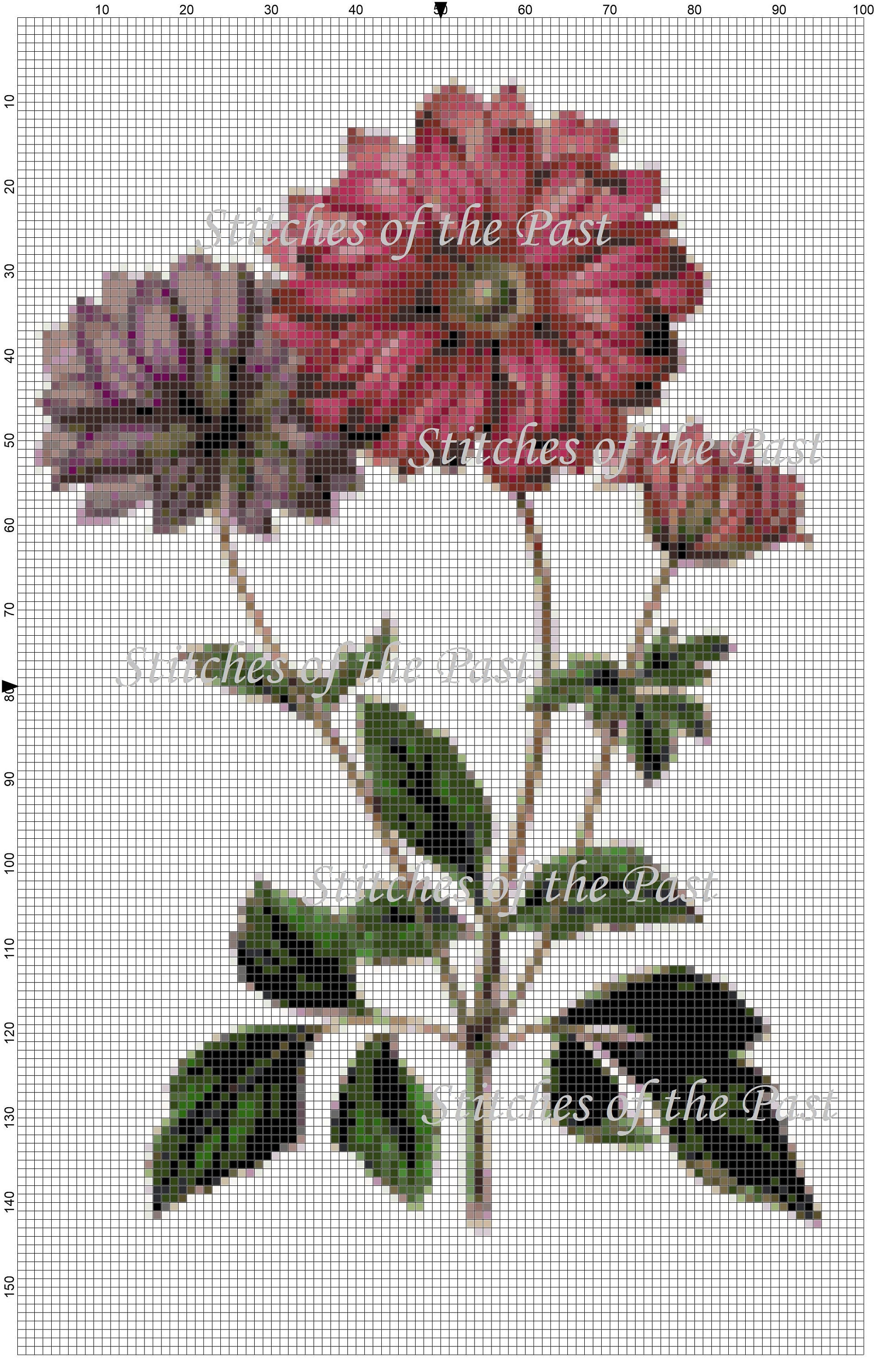 Anemone Cross Stitch Pattern, Vintage Botanical Illustration, Instant ...