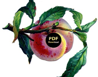 Botanical Cross Stitch Pattern - Etsy