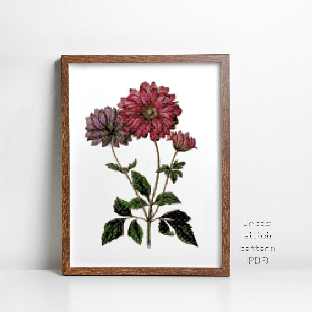 Anemone Cross Stitch Pattern, Vintage Botanical Illustration, Instant ...