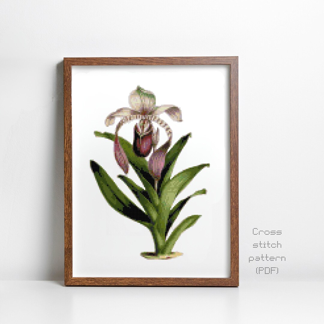 Orchid Cross Stitch Pattern, Vintage Botanical Illustration, Flower ...