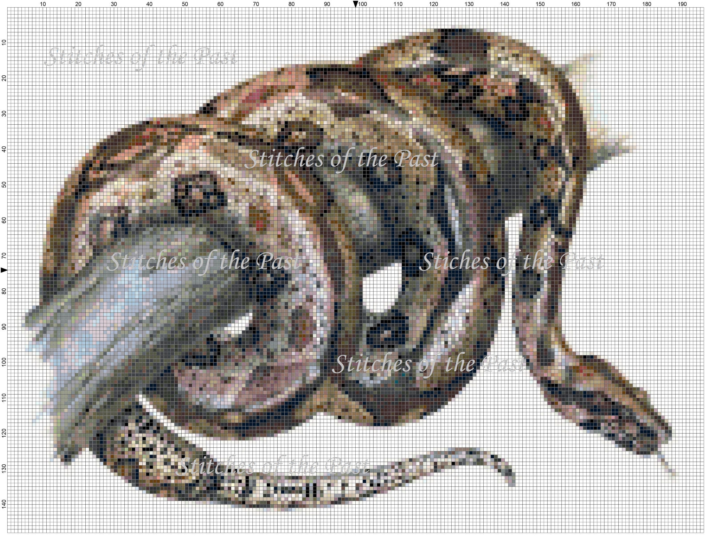 Boa Constrictor Cross Stitch Pattern (inverted), Reptile, Snake ...