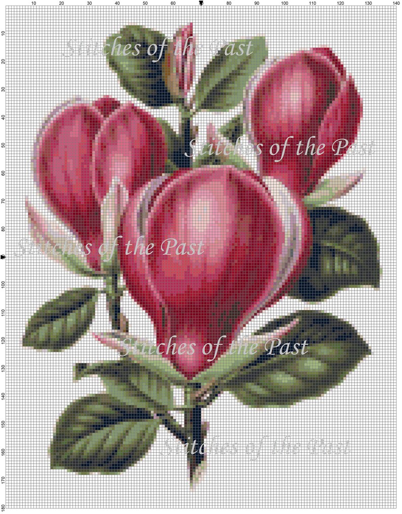 Magnolia Blooms Cross Stitch Pattern, Flower, Cottage, English Garden ...
