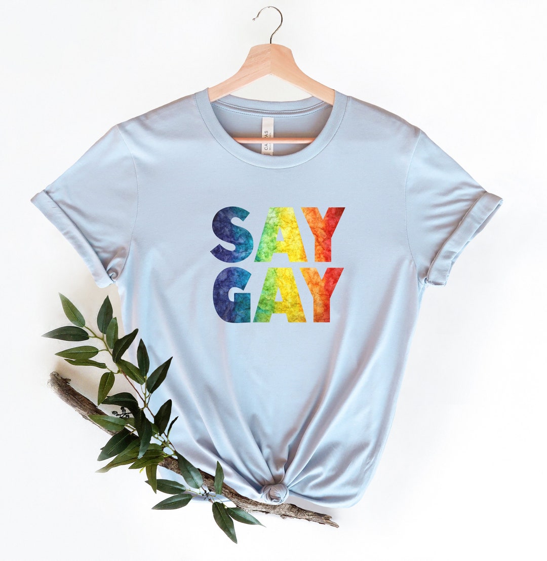 We Support Lgbtq Pride Tee, Florida Bill T-shirt,say Gay Tshirt ...