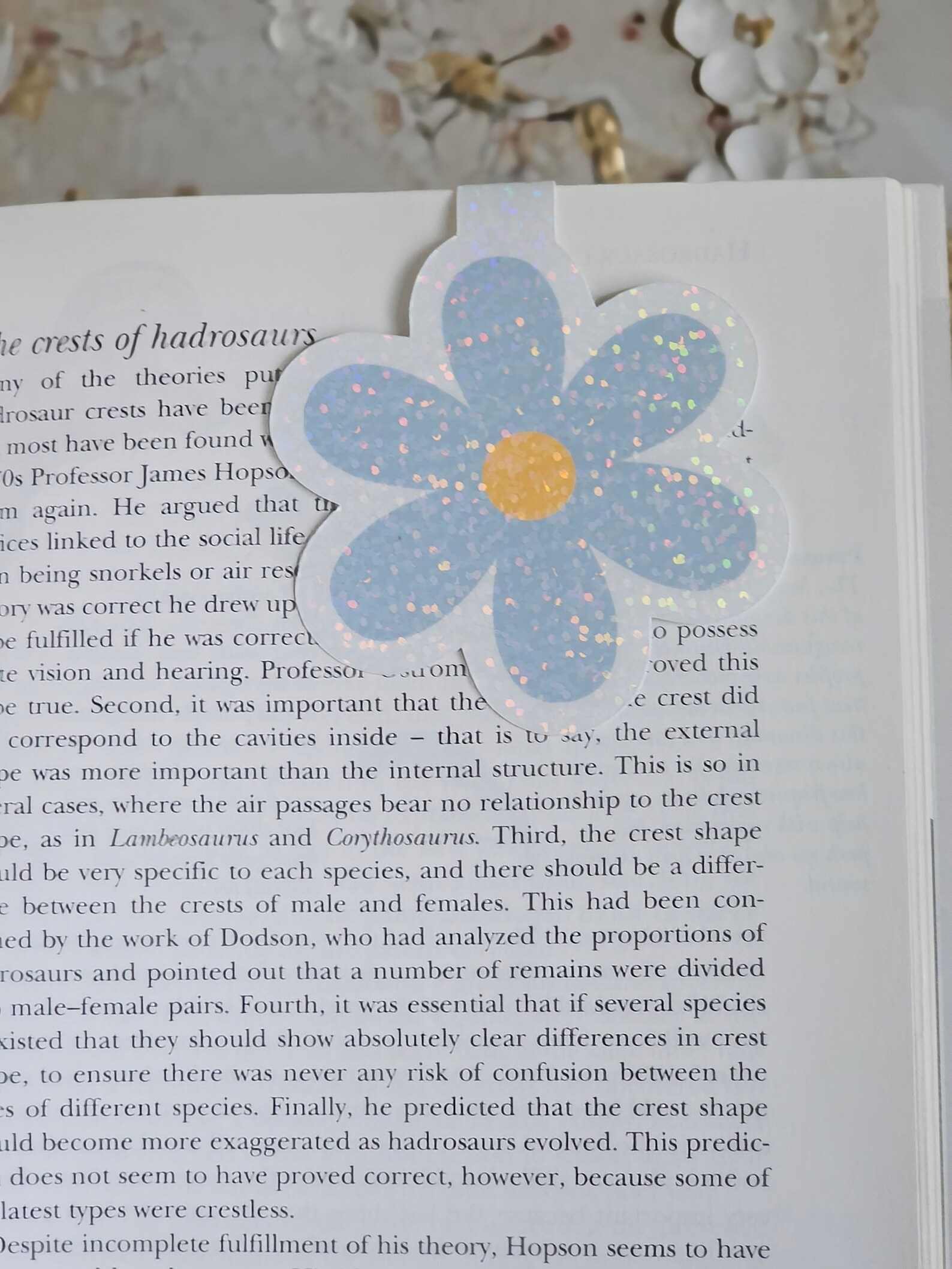 Daisy Flower Magnetic Bookmark, Holographic Magnetic Bookmark, Floral ...