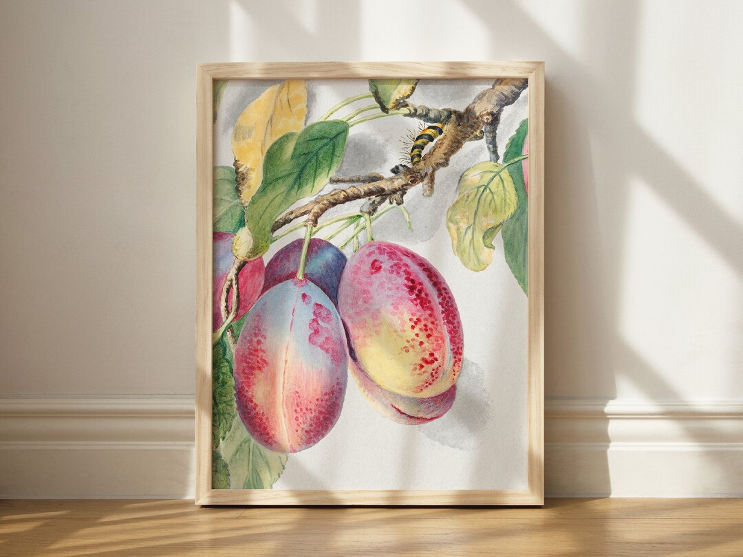 Caterpillars and Plums Print, Painting Wall Art, Printable Fruit Art ...
