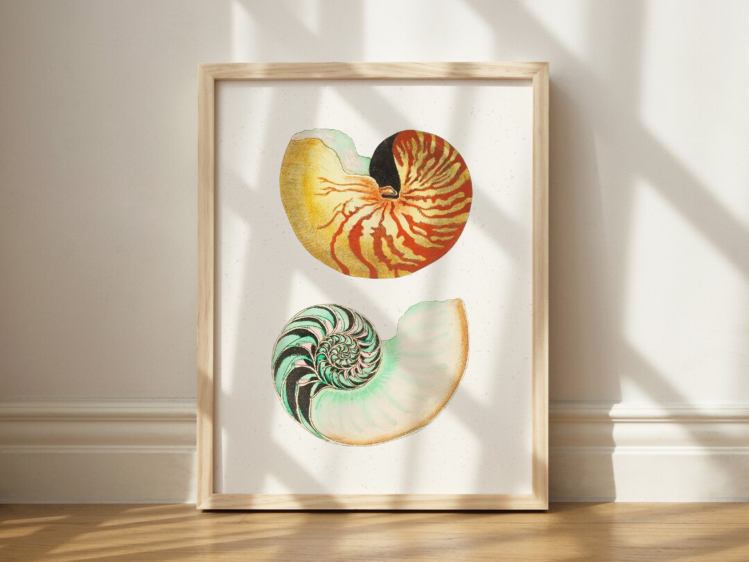 Rainbow Shell Print, Ocean Wall Decor, Illustrated Seashell Art ...