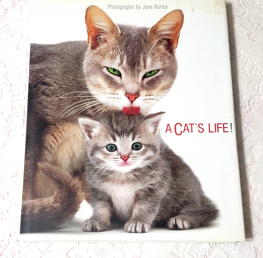 Beautiful Pictorial Book of Cats - A Cat's Life! Photography by Jane ...