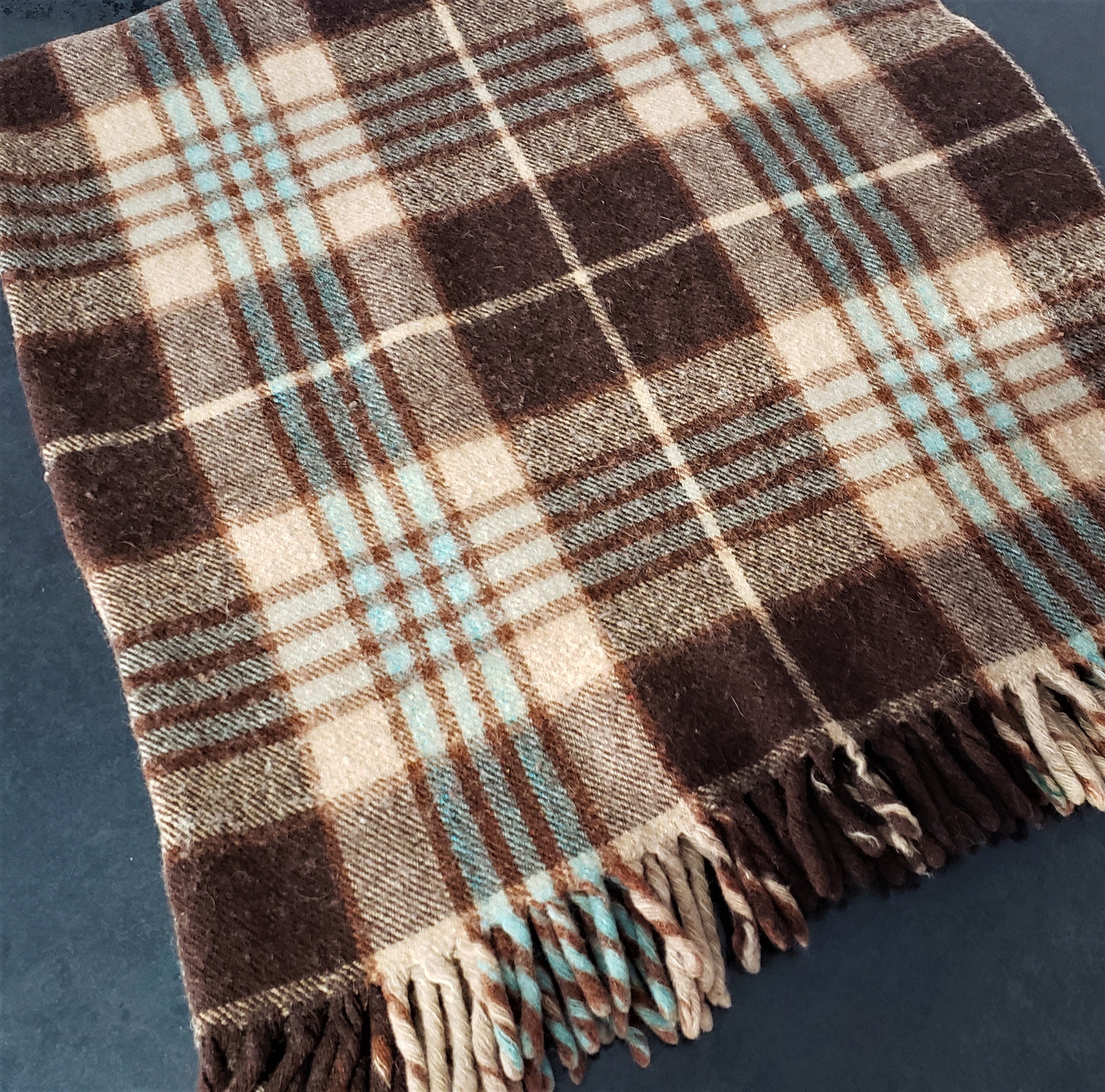 Vintage Wool Plaid Lap Blanket With Fringe 52 X 48 Inches Circa 1960s ...