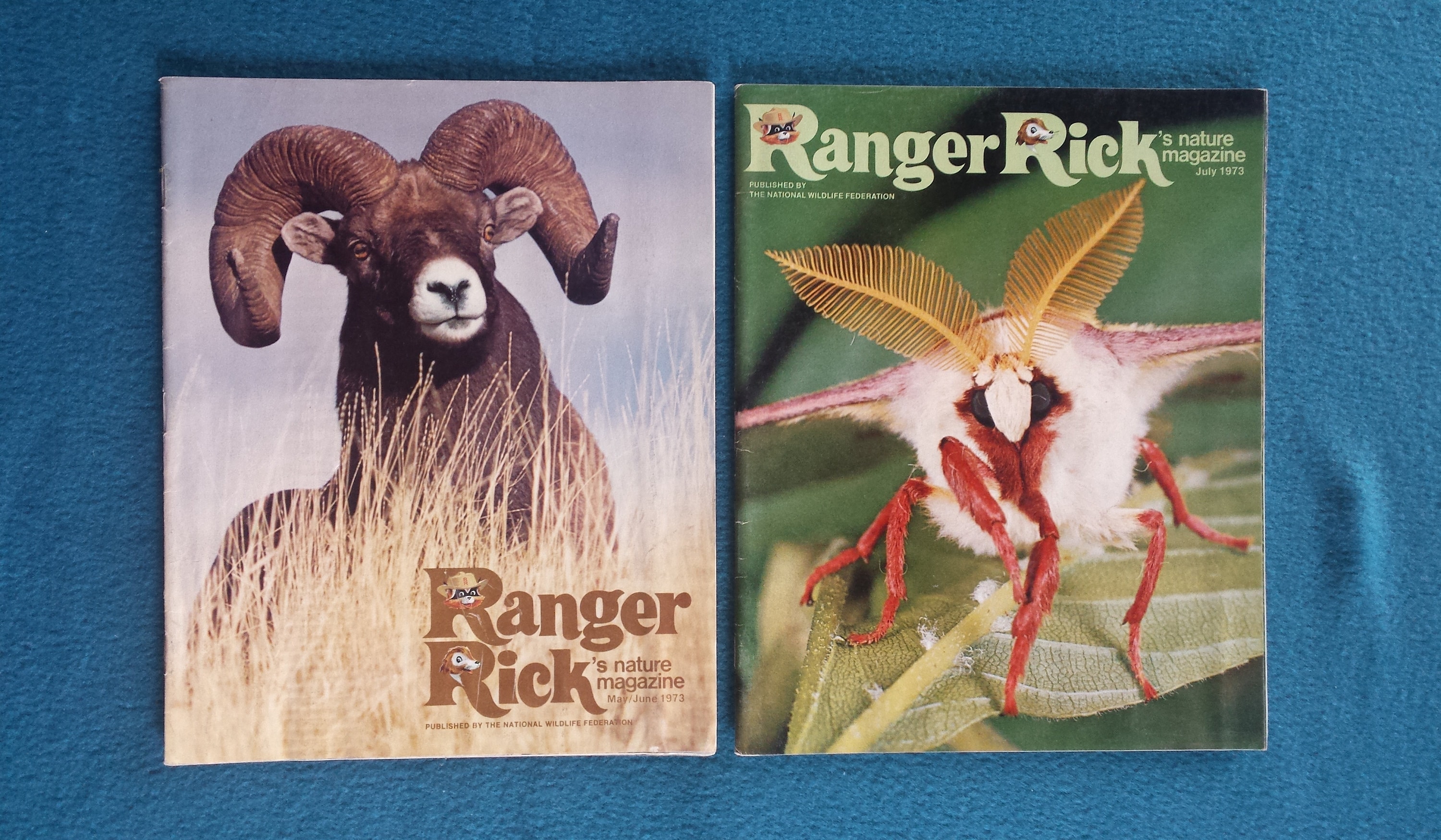 1973 Vintage Ranger Rick Magazines - Set of Nine of Ten Issues With ...
