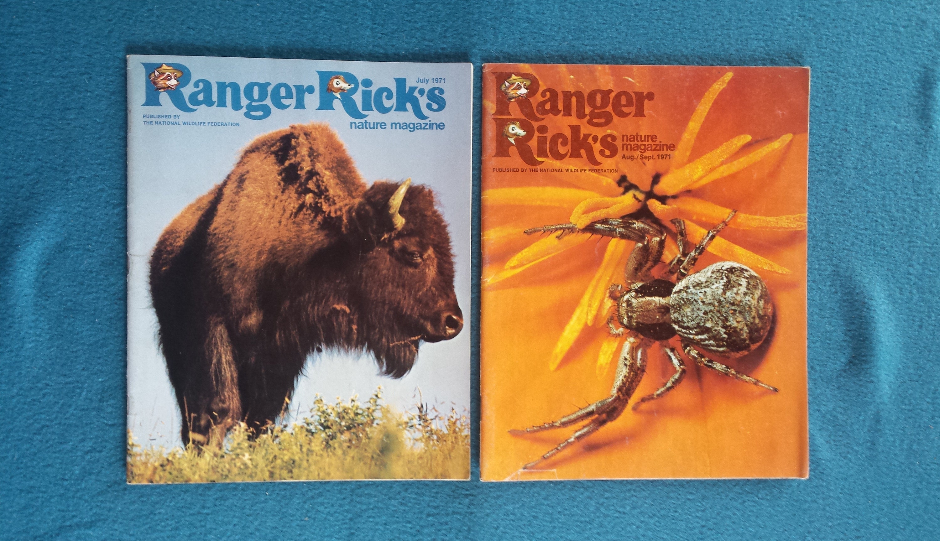 1971 Vintage Ranger Rick Magazines - 8 of Ten Issues, Awesome for Kids ...