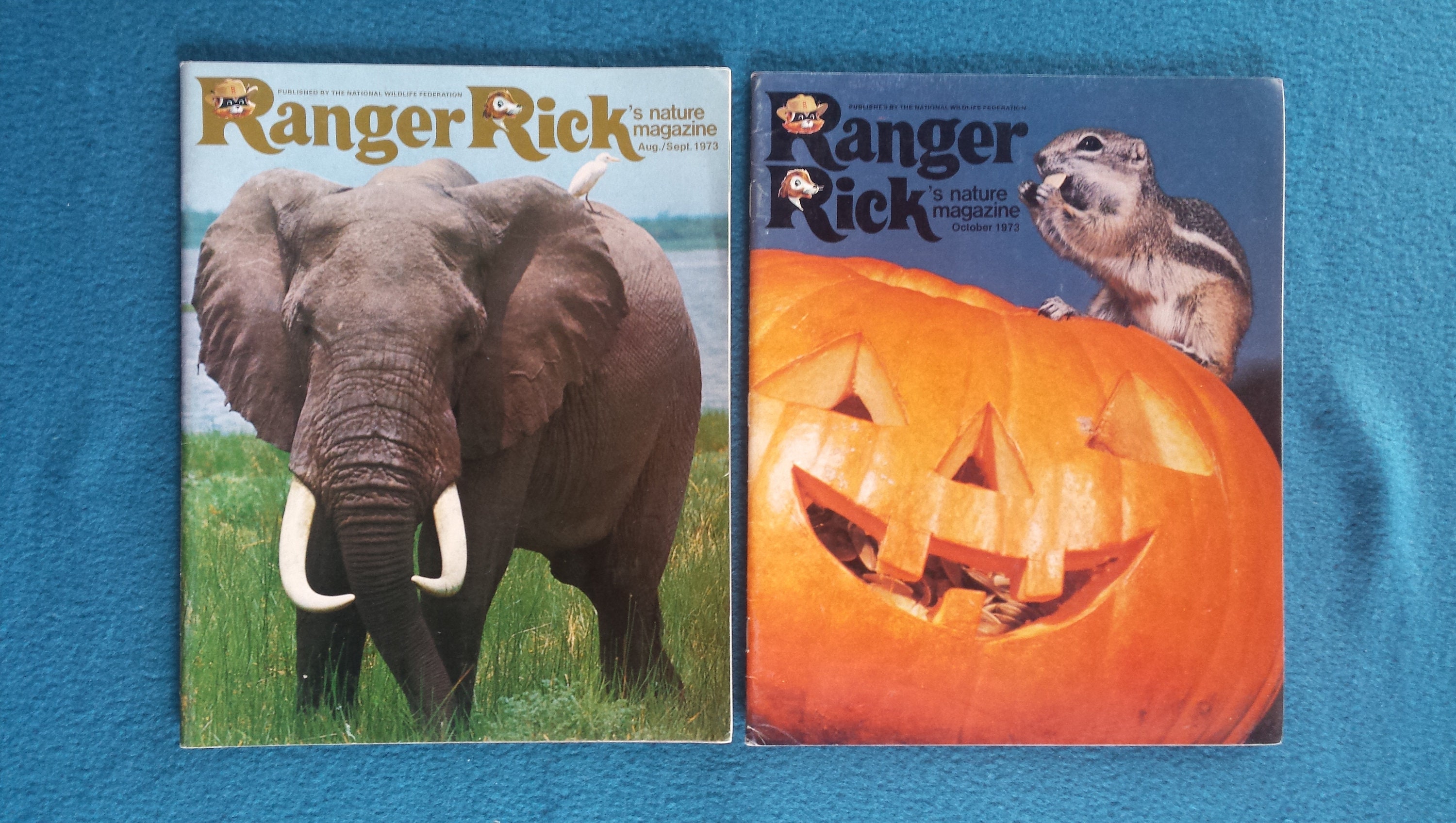 1973 Vintage Ranger Rick Magazines - Set of Nine of Ten Issues With ...