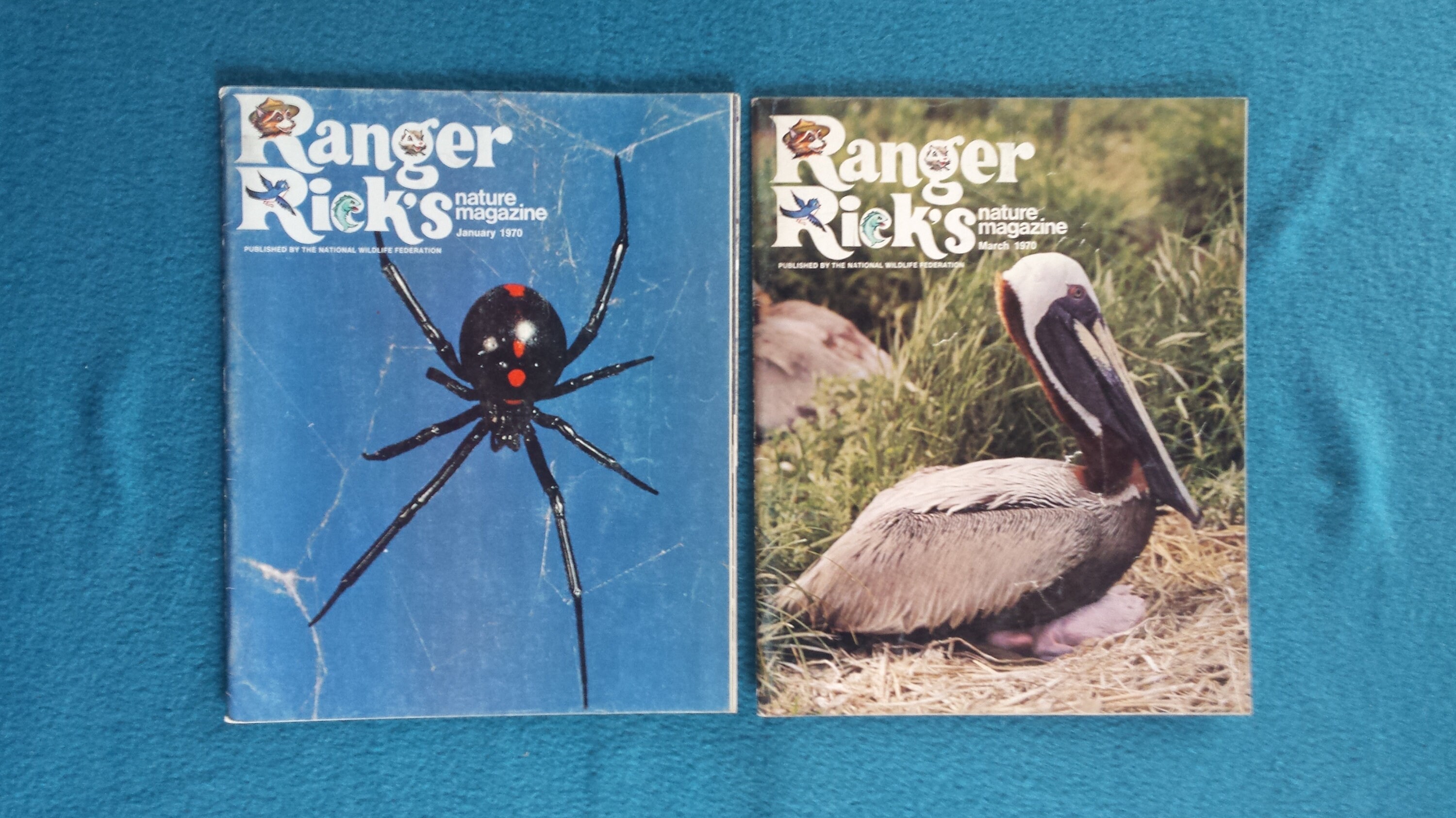 1970 Vintage Ranger Rick Magazines - 9 of Ten Issues, Awesome for Kids ...
