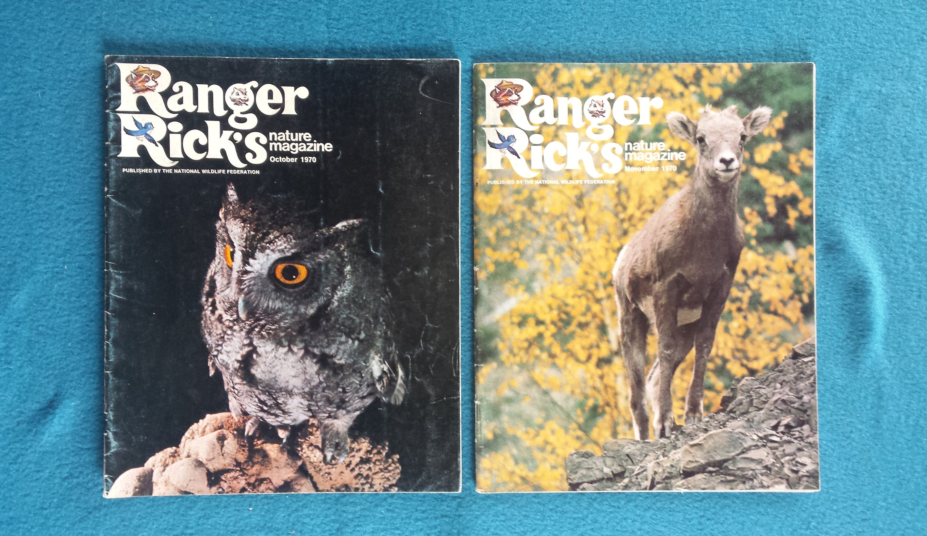 1970 Vintage Ranger Rick Magazines - 9 of Ten Issues, Awesome for Kids ...