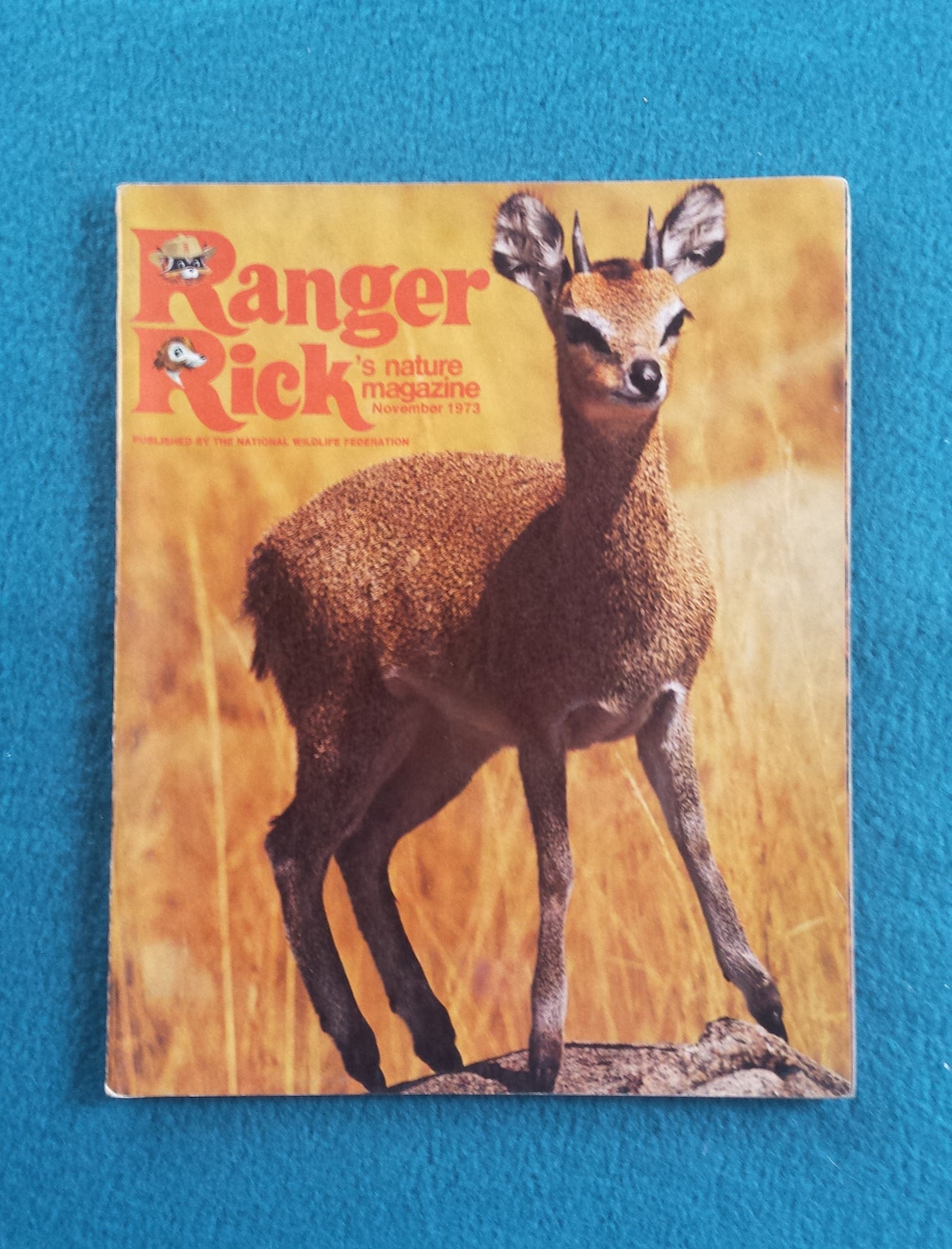 1973 Vintage Ranger Rick Magazines - Set of Nine of Ten Issues With ...