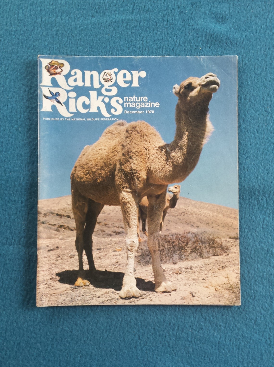 1970 Vintage Ranger Rick Magazines - 9 of Ten Issues, Awesome for Kids ...