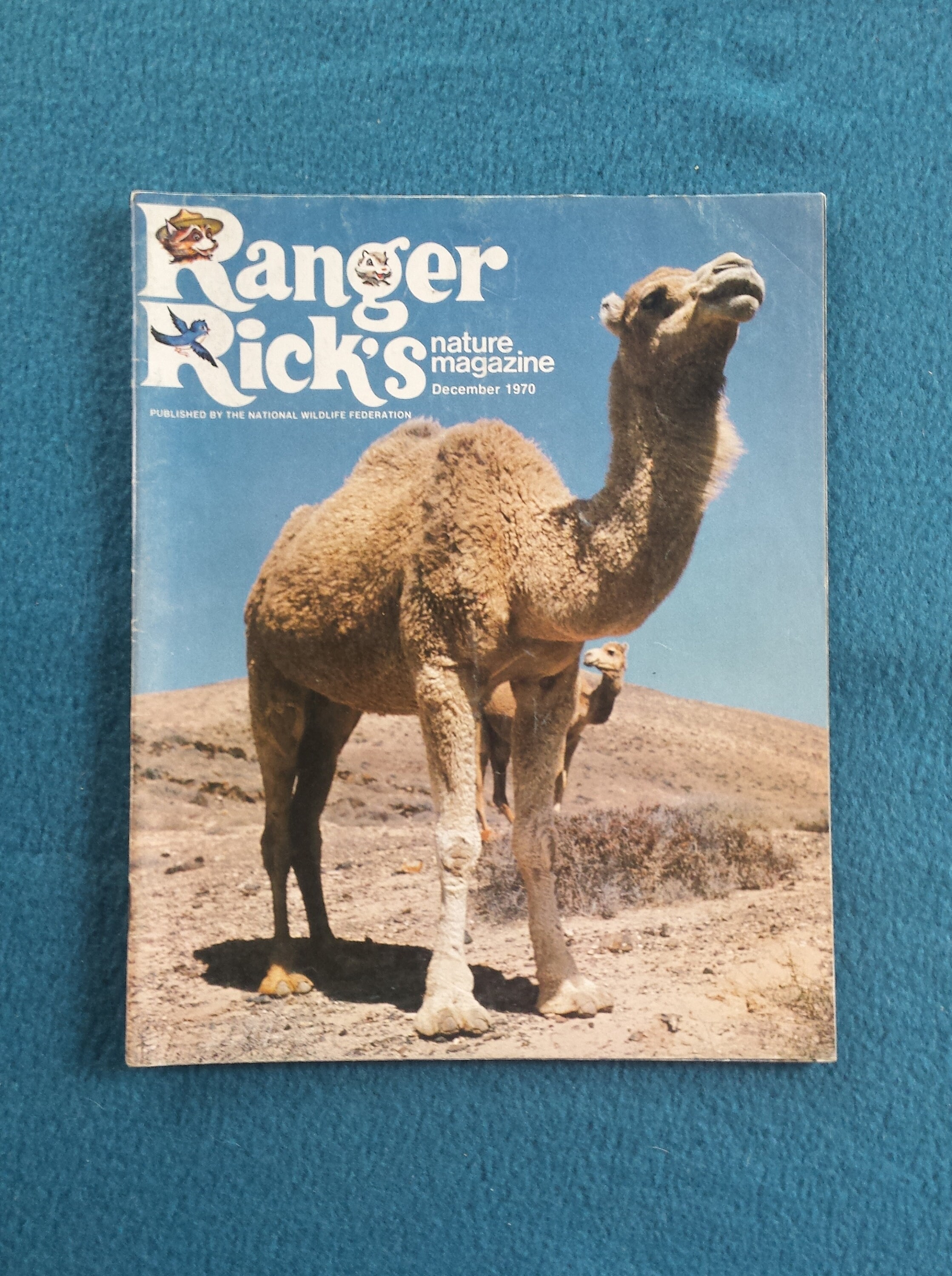 1970 Vintage Ranger Rick Magazines - 9 of Ten Issues, Awesome for Kids ...