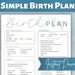 Birth Plan Printable Simple One Page Birth Plan - Etsy