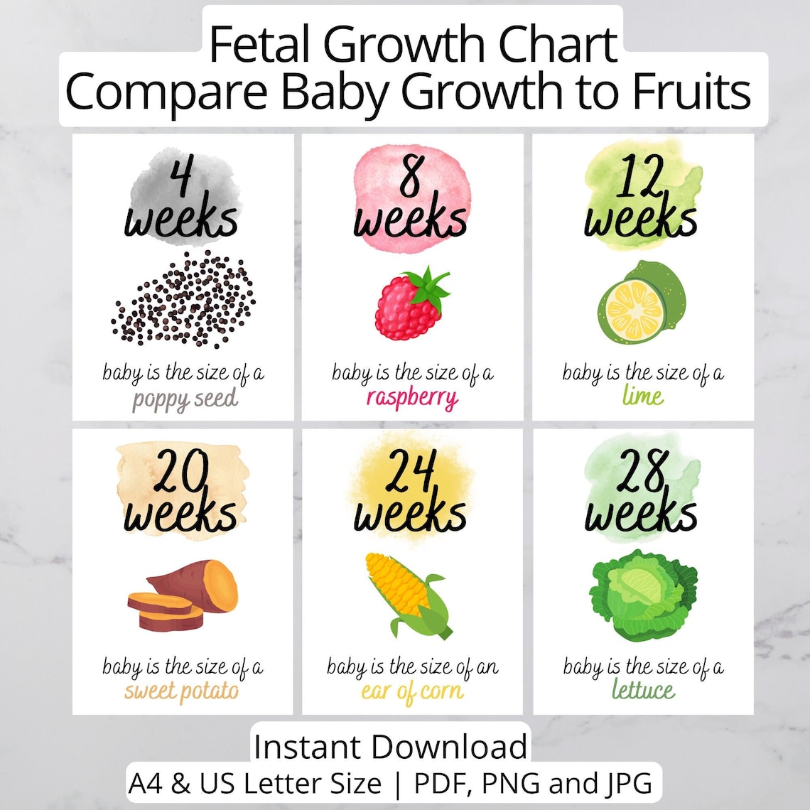 Pregnancy Fetal Growth Guide | Baby Size Comparison to Fruits & Veggies ...