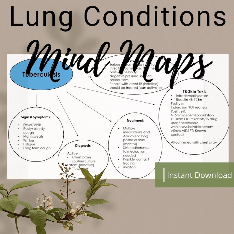 Lung Conditions Study Guide mind Maps - Etsy