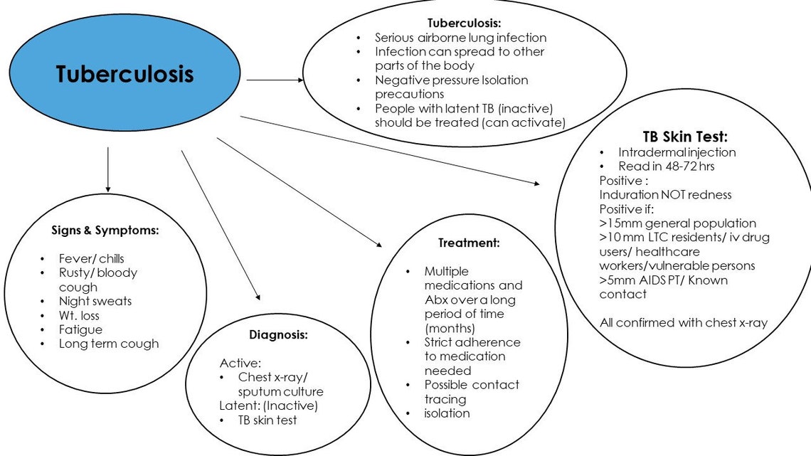 Lung Conditions Study Guide (mind Maps) - Etsy Canada
