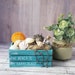 Mini Wooden Beach Crate Beach Decor Personalize Seashell - Etsy