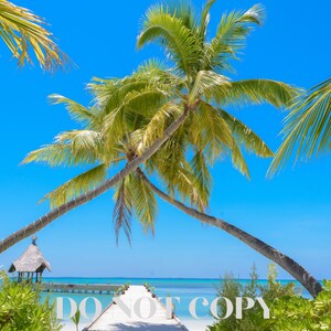Zoom Virtual Background Beach View Background Backdrop Facebook ...