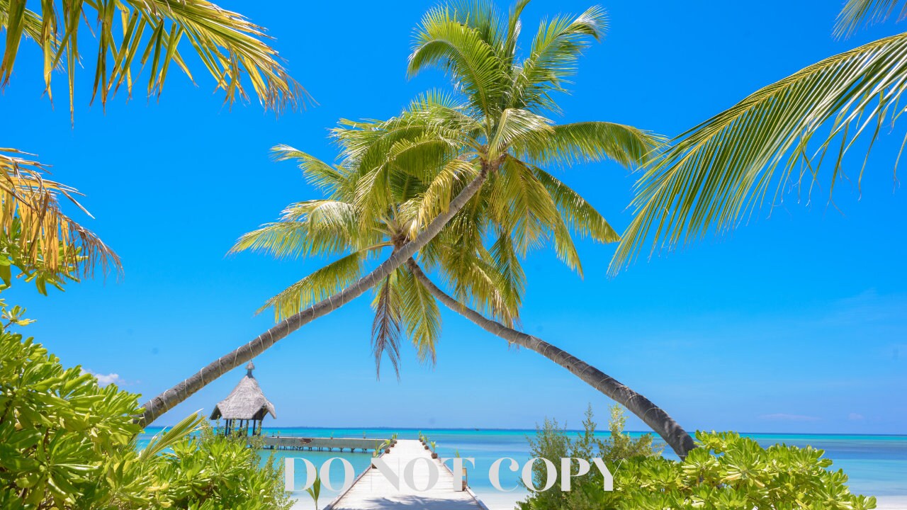 Zoom Virtual Background | Beach View Background | Backdrop | Facebook ...