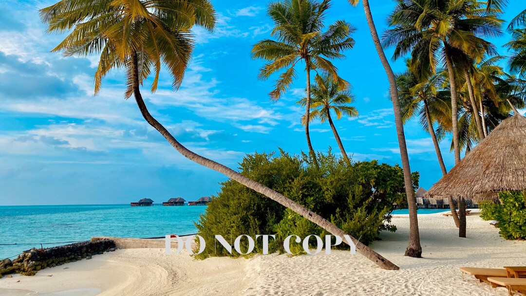 Zoom Virtual Background | Beach View Background | Backdrop | Facebook ...