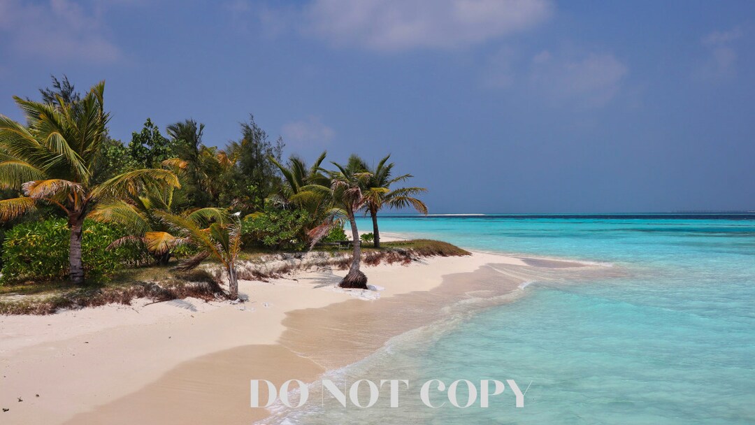 Zoom Virtual Background Beach View Background Backdrop - Etsy