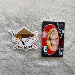 Vietnamese Girl Sticker: Viet Pride, Asian Conical Hat - Etsy