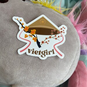 Vietnamese Girl Sticker: Viet Pride, Asian Conical Hat - Etsy