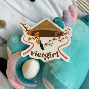 Vietnamese Girl Sticker: Viet Pride, Asian Conical Hat - Etsy