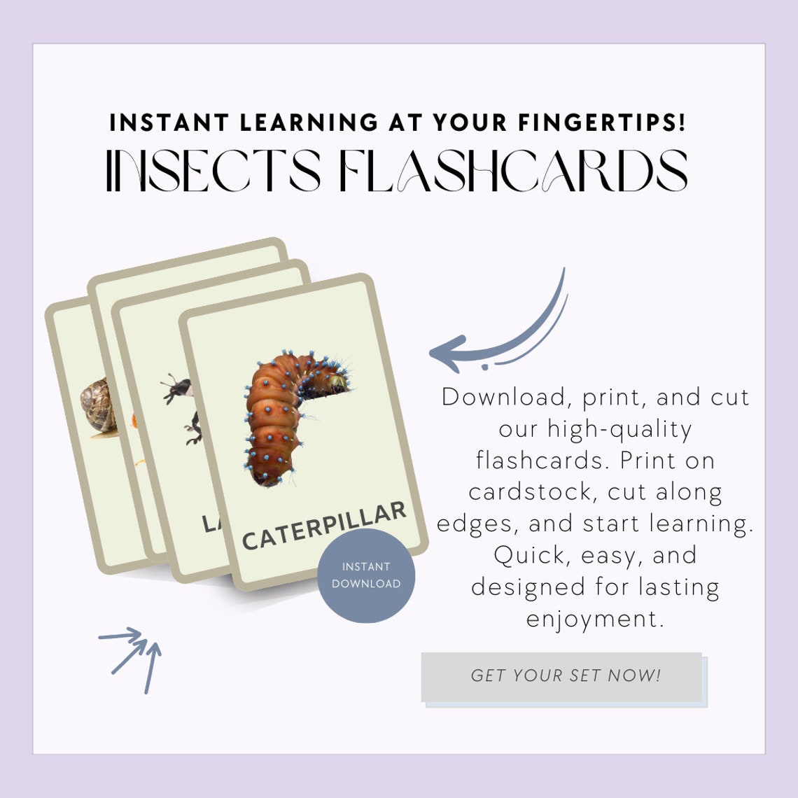 Insects Flashcards for Kids, Preschool Worksheets, Toddler Busy Book ...