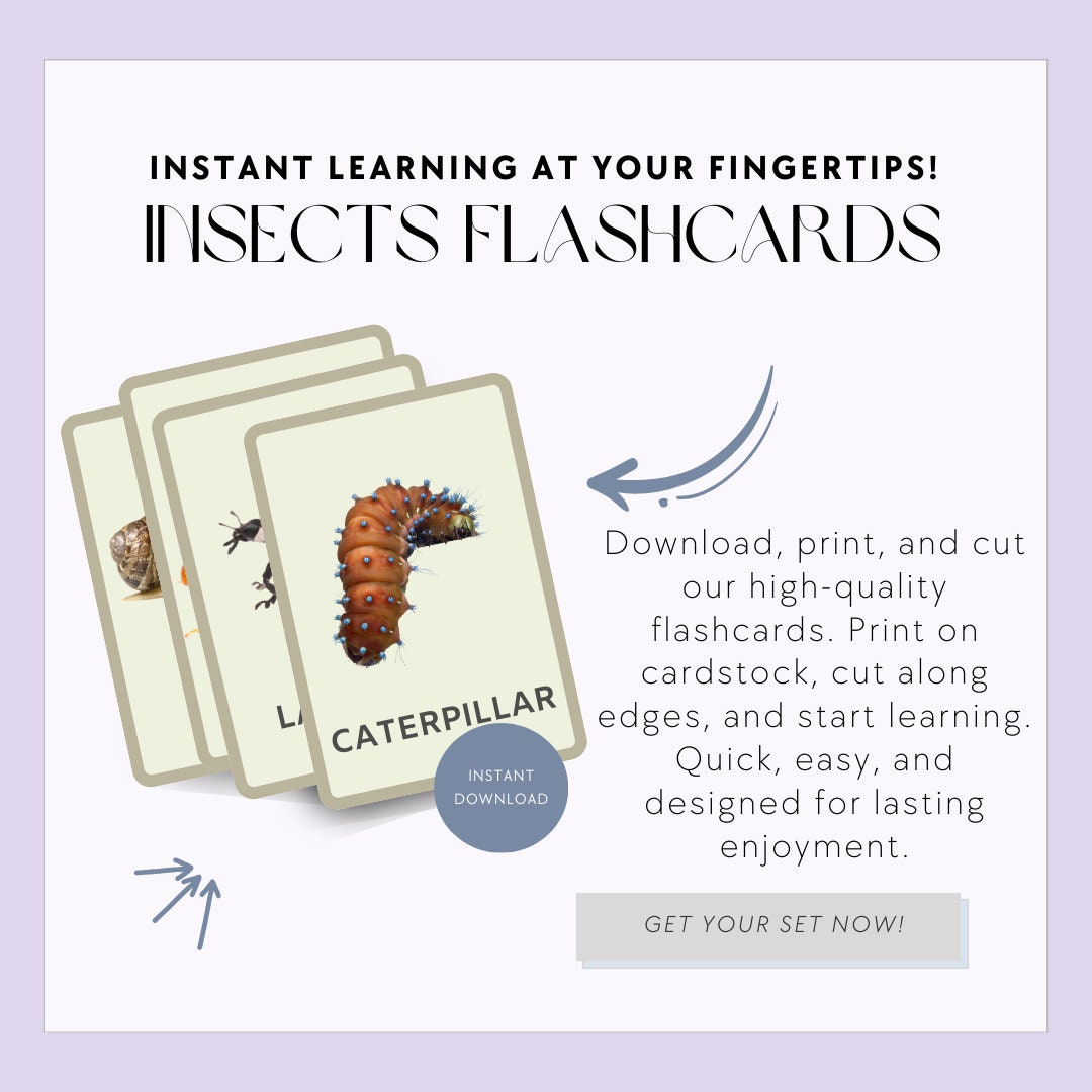 Insects Flashcards for Kids, Preschool Worksheets, Toddler Busy Book ...