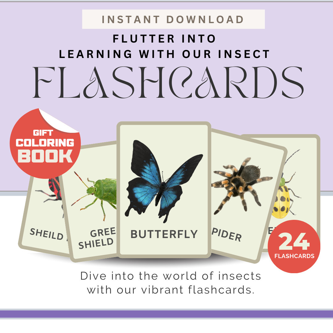 Insects Flashcards for Kids, Preschool Worksheets, Toddler Busy Book ...