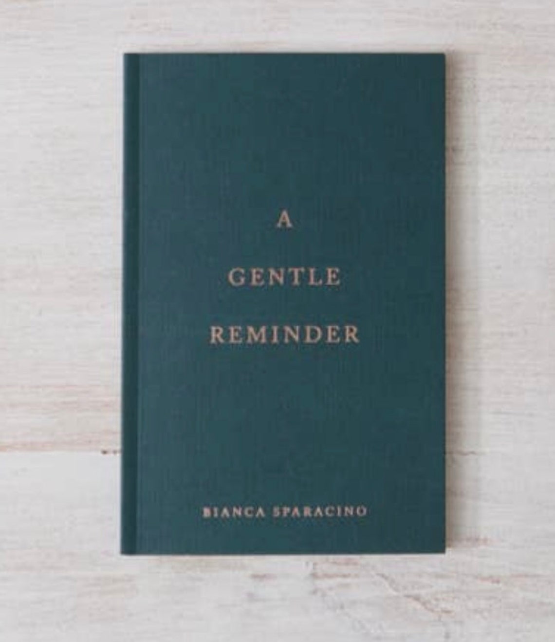 A Gentle Reminder by Bianca Sparacino Self Help Book - Etsy