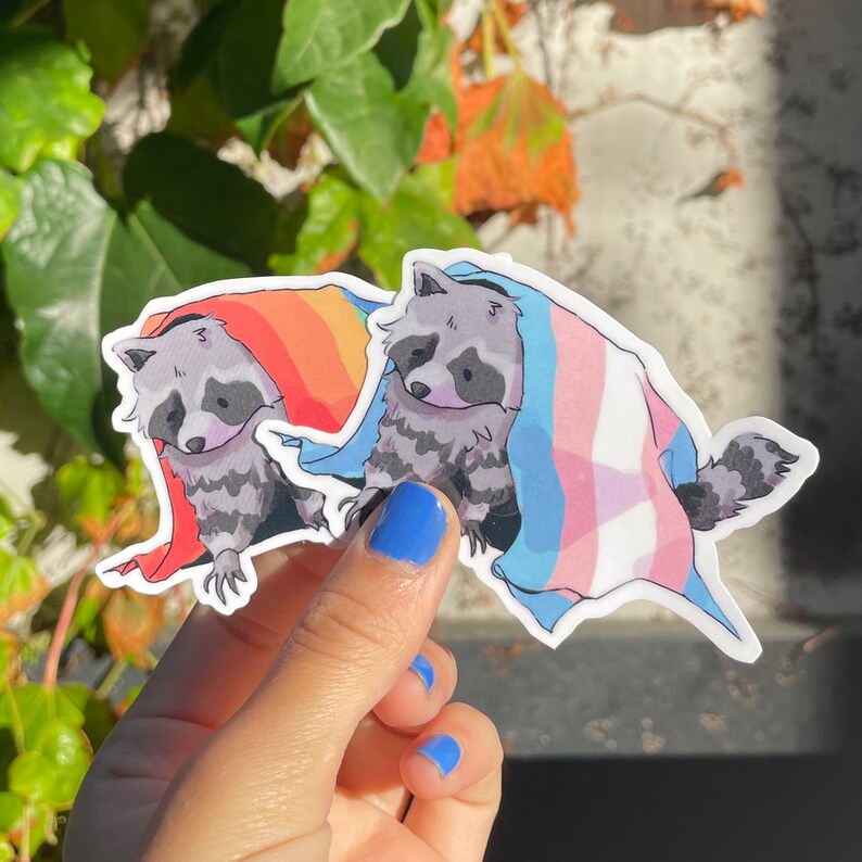 Pride Raccoon Stickers Cute Animal Stickers Water - Etsy